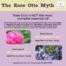 The Rose Otto Myth - busted - Tisserand Institute