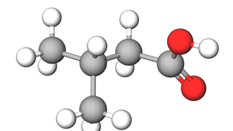 Isovaleric acid (model) - Tisserand Institute
